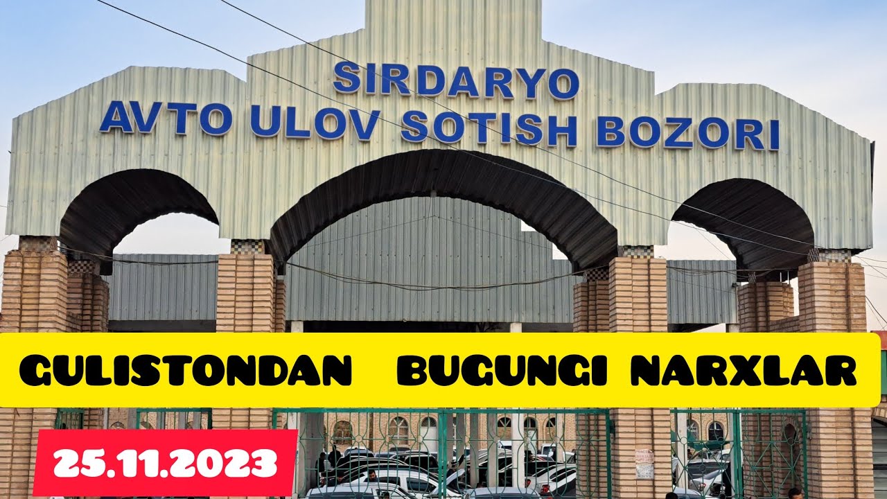 Guliston mashina bozor bugungi narxlar 25 ноября 2023 г. - YouTube