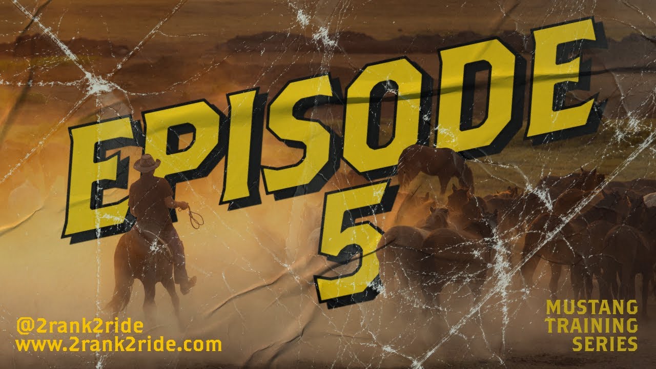 Mustang Training Series EP5 - YouTube