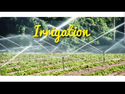 Std 5 Evs Geography of Goa chapter no:3 Irrigation - YouTube