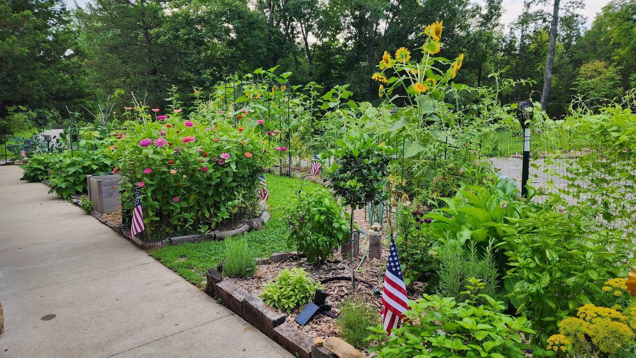 Garden in the Woods Tour #5 - Edible and Ornamental Plants - Missouri ...