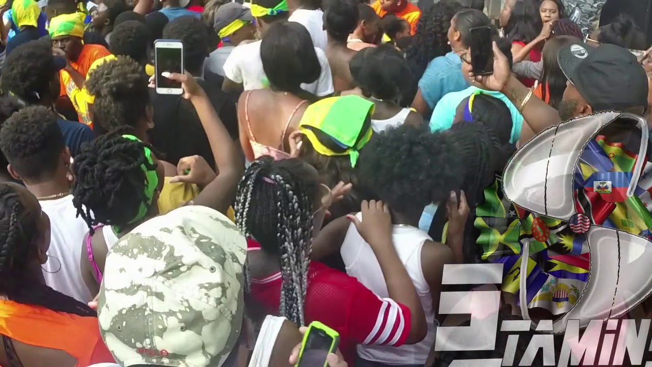 Skinny Fabulous Singing At Vincy Day USA 2017 - YouTube