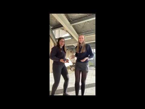 baile colegialas pantimedias