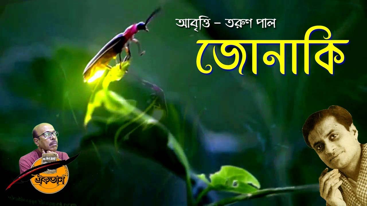 জোনাকি - বুদ্ধদেব বসু - Jonaki - Buddhadeb Basu Kobita - Firefly ...