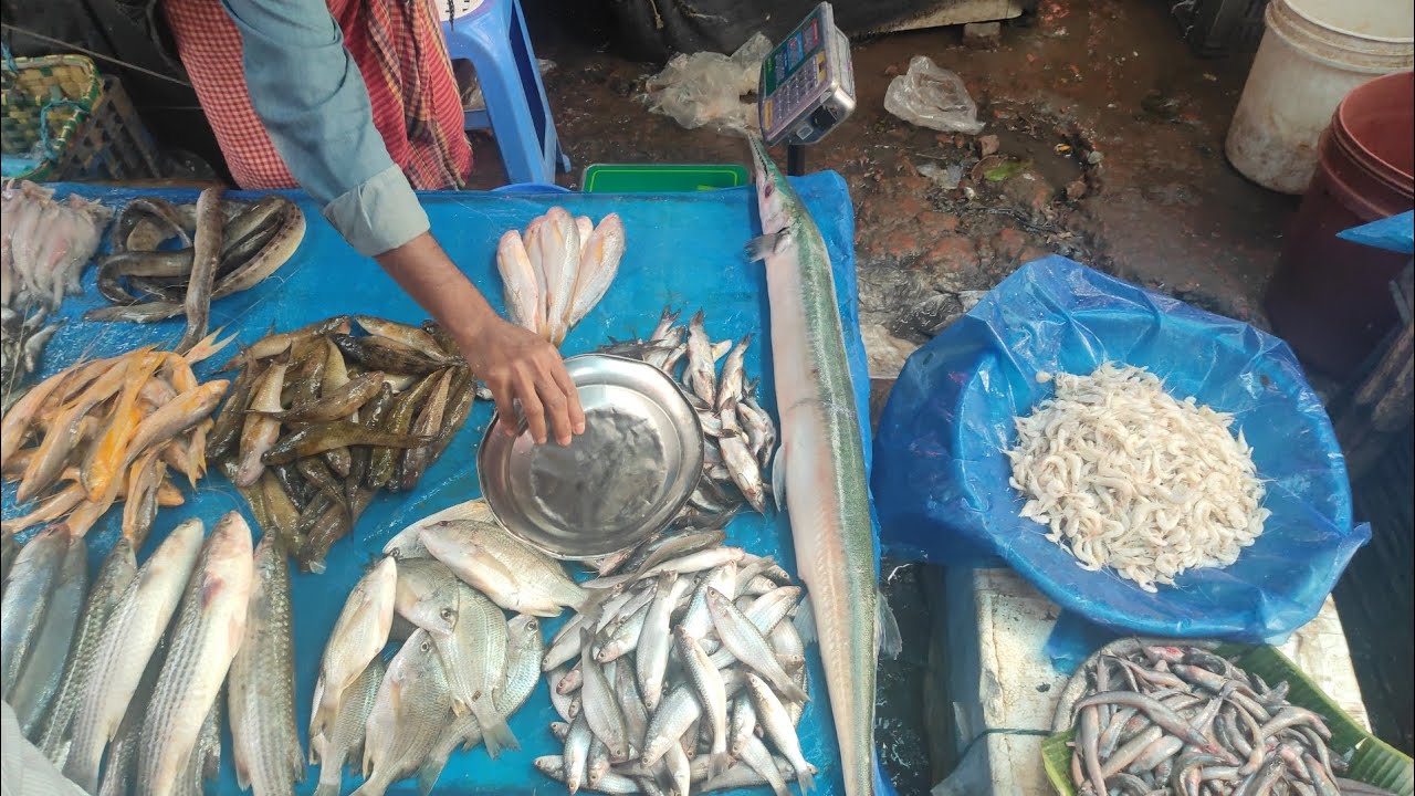 Wondrous fish market || biggest fish market in Dhaka Bangladesh - YouTube