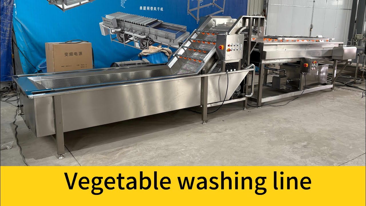 Vegetable washing line potato cabbage daikon washer machine - YouTube