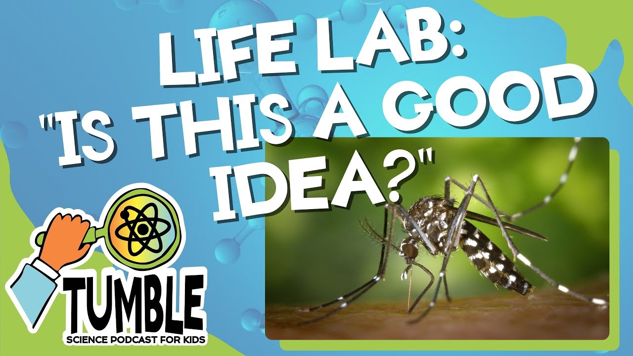 "Is This a Good Idea?" - Life Lab, Pt. 3 - Tumble Science Podcast for ...