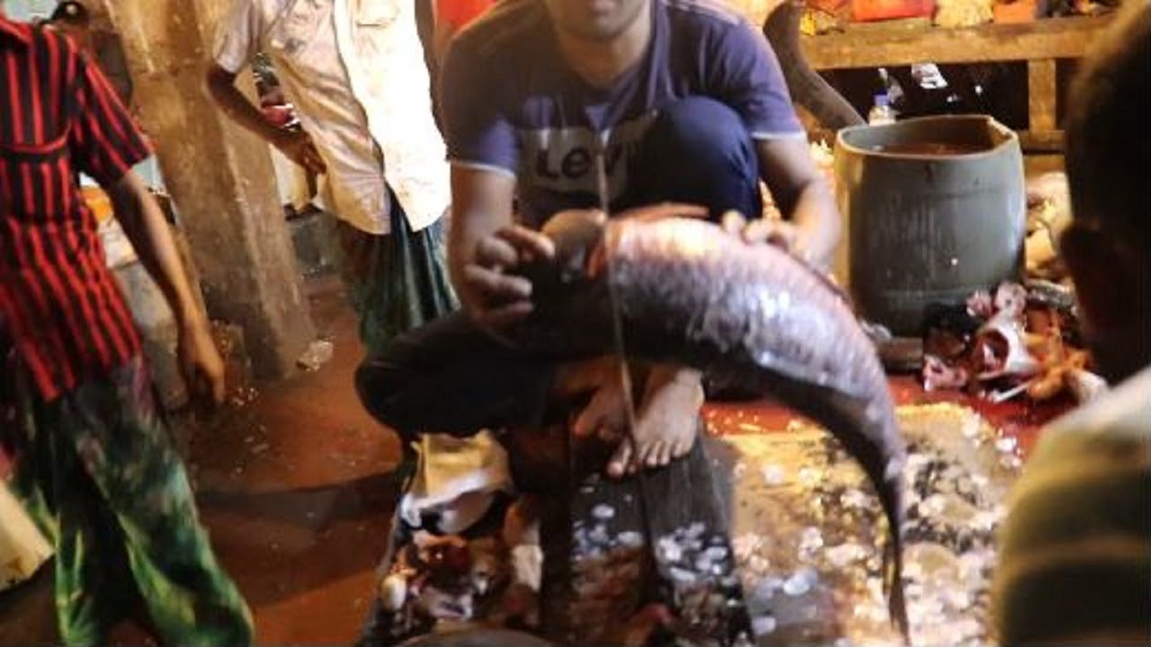 Catla Caught Cutting Cleaning | Catla Fish Cutting Caught Cutting ...