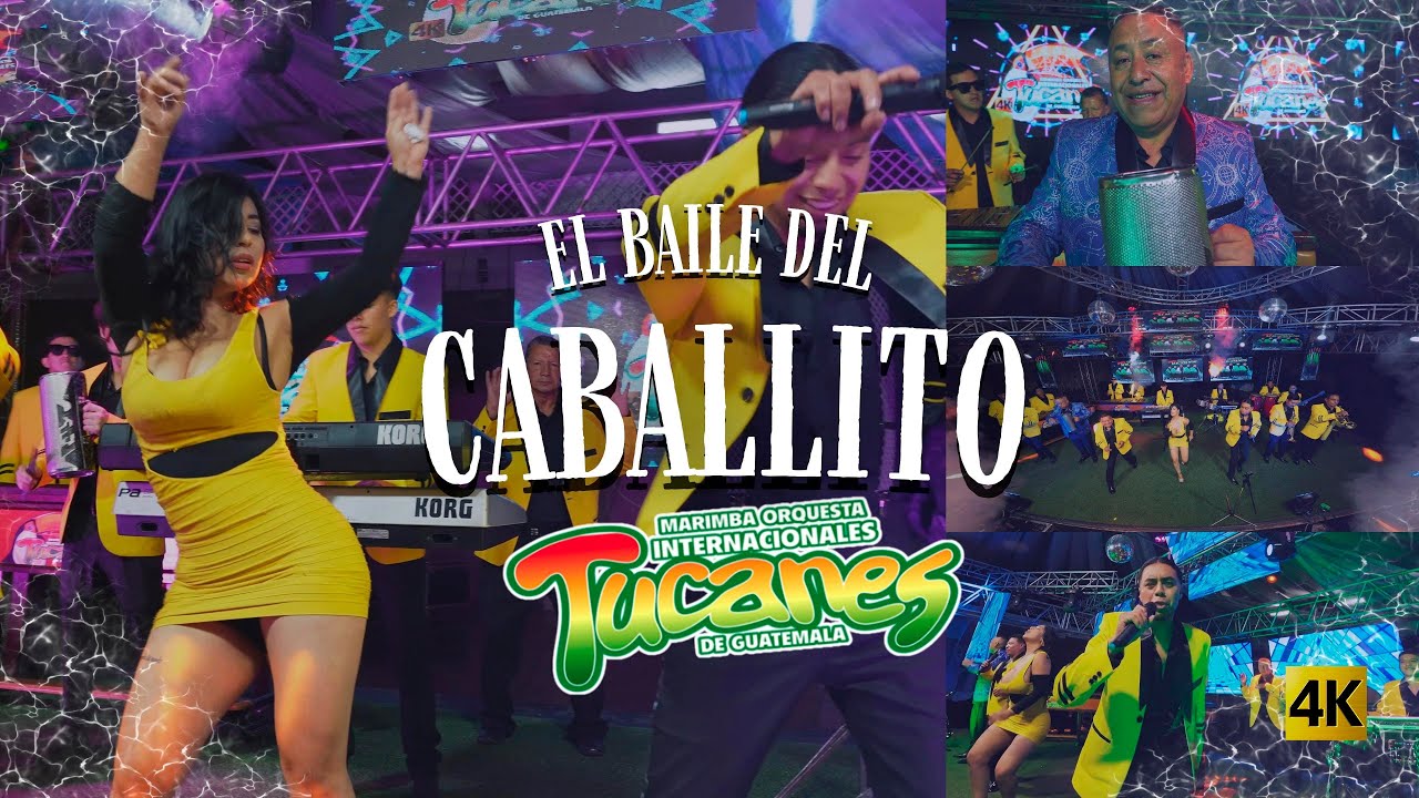Marimba Orquesta Internacionales Tucanes - El Baile Del Caballito 4K ...