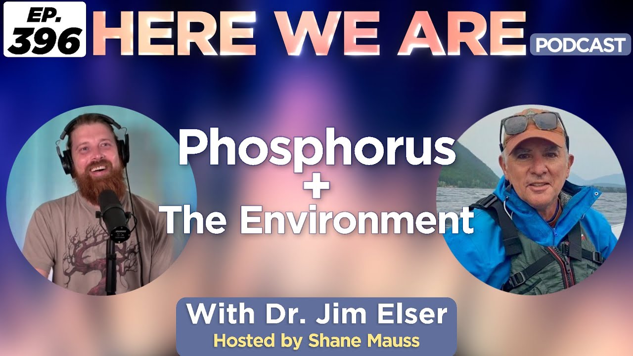 Phosphorus and The Environment | Here We Are Podcast Ep. 396 w/ Dr. Jim ...