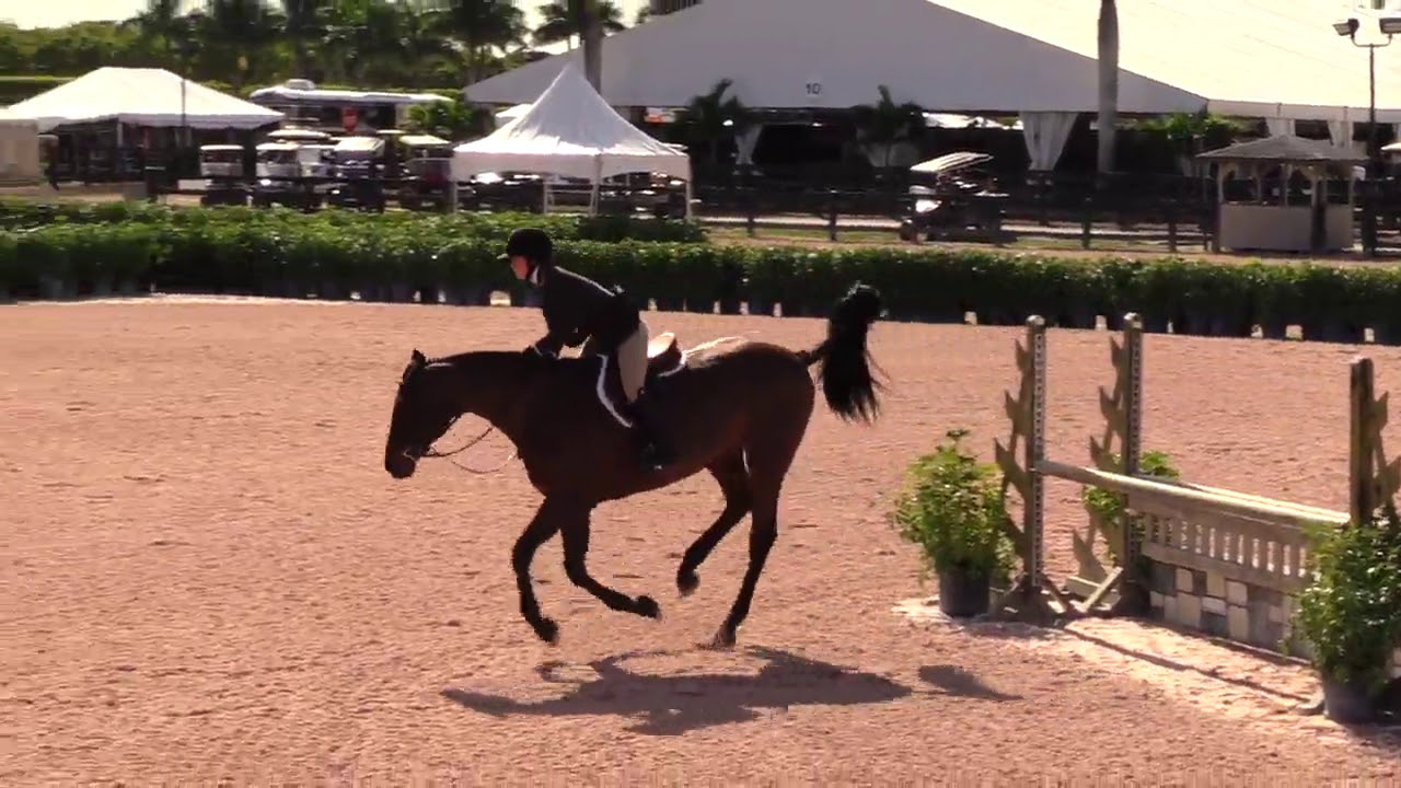 EMMA BISHOP AND GAME DAY - YouTube