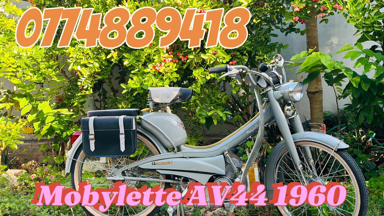 Mobylette AV44 sx1960 của pháp… màu xám xi măng thời trang đẹp long ...