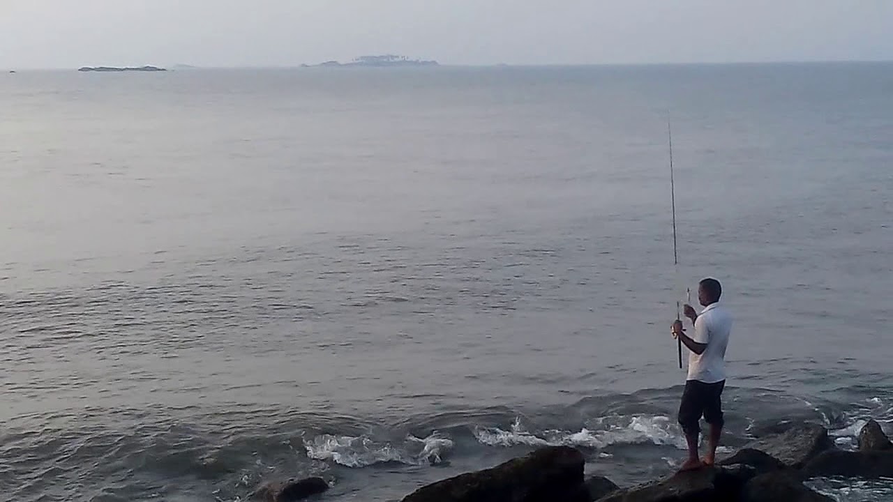 ROCK FISHING AT MALPE FISHERIES/MALPE PORT- UDUPI, KARNATAKA # ...