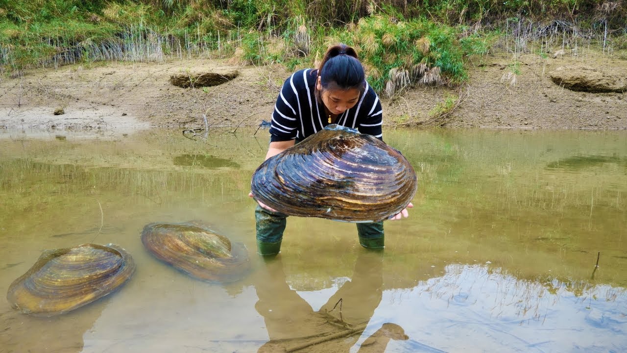 Giant clams appeared in the dried pond, and the girl discovered a ...