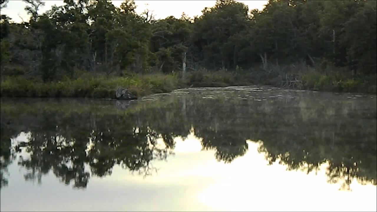 Nature Sounds, Pond with Steam, Moving Water - YouTube