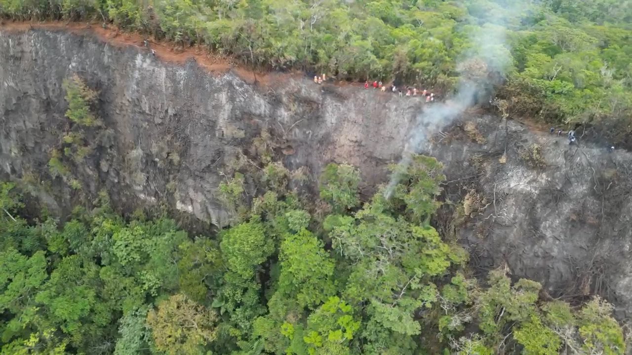 “Loro Machaco” ataca a voluntario que participaba en mitigación de ...