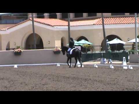Indira - USDF Dressage Third Level, Test 1 - 72.105% - Del Mar National ...