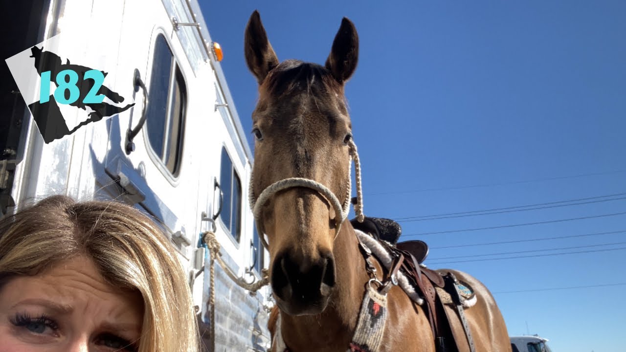 Barrel Racer Life - The Good, Bad & Ugly of Barrel Racing - YouTube