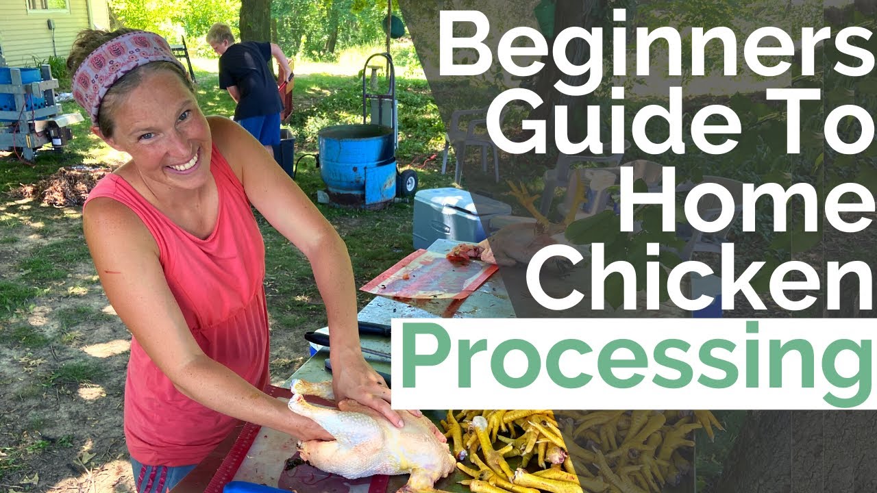 You CAN Process Chickens at Home - Everything You Need to Know | Self ...
