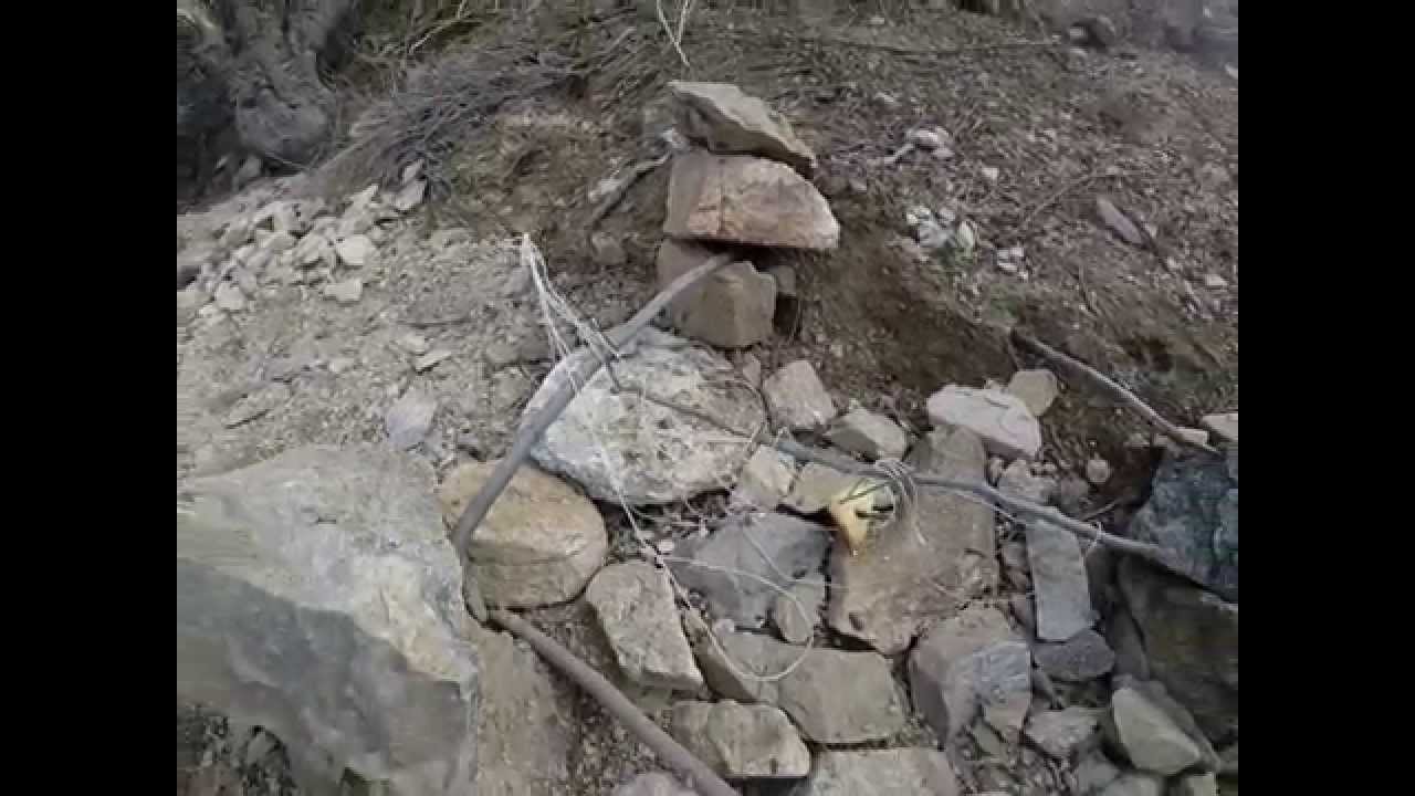 Spring snare/deadfall trap Part 2 - YouTube