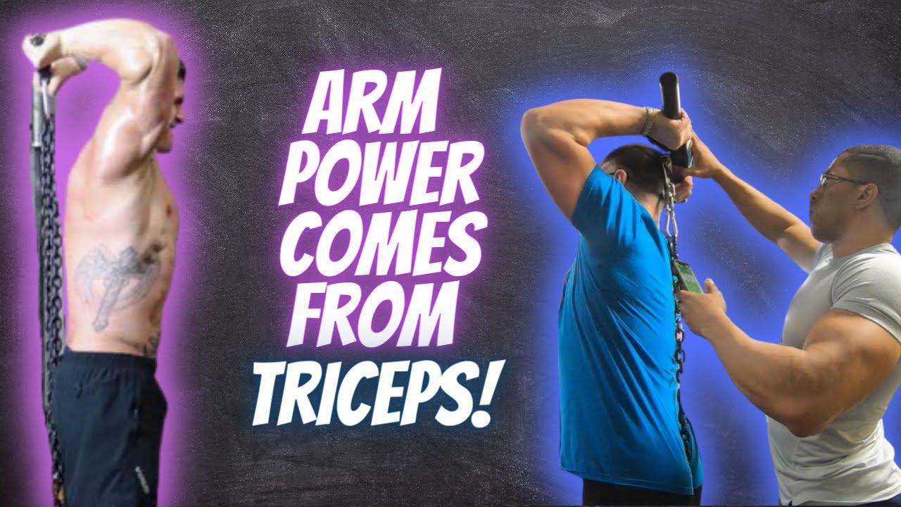 Every Single Tricep Exercise on the Isochain! - YouTube