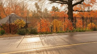 Daniel Boone Native Garden northeast fence 1 05 26