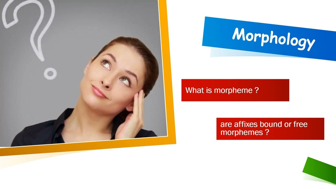 Morphology What Is Morpheme Bound And Free Morphemes Affixes Morphology What Is Morpheme Bound And Free Morphemes Affixes