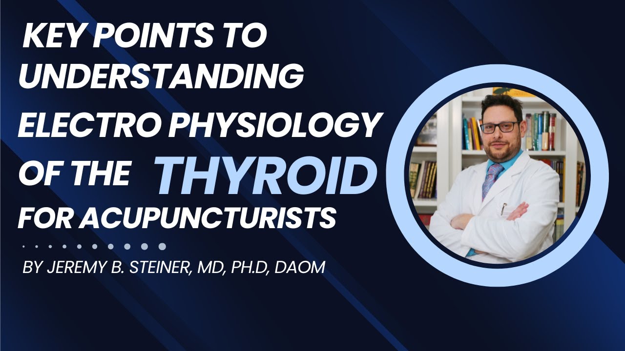 Thyroid Power - Key Insights for Acupuncturists - YouTube