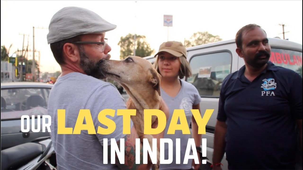 Saying Goodbye to India - Episode 9 - Wildlife and Animal rescue in ...