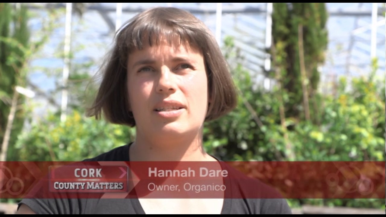 National Learning Network Employer Based Support Programme - Cork - YouTube