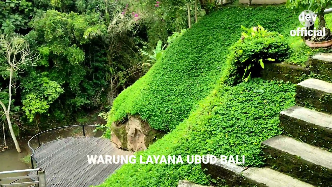 AIR TERJUN UBUD BALI // WARUNG LAYANA UBUD - YouTube