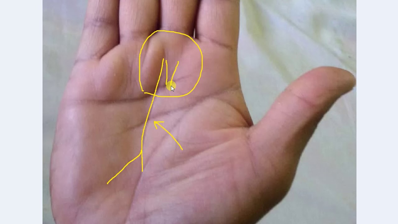 Fate Line with Support Line from Moon Mount - YouTube