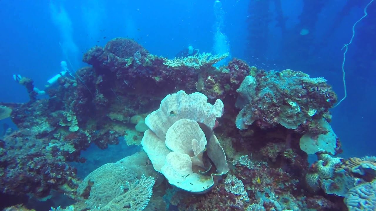 Iro Sata Maru - YouTube