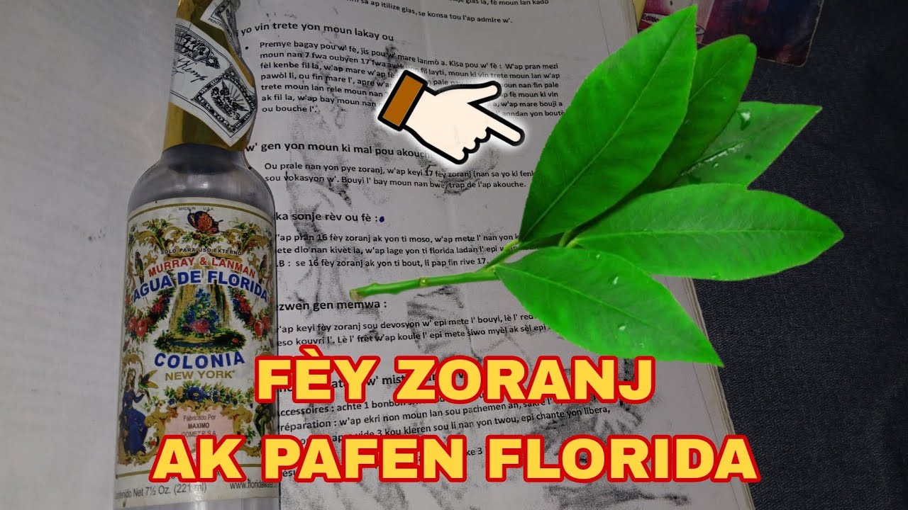 SIW VLE GENYEN NAN BOLET / FE REV BOLET FE SAA OU PAP REGRET (FÈ TÈT OU ...