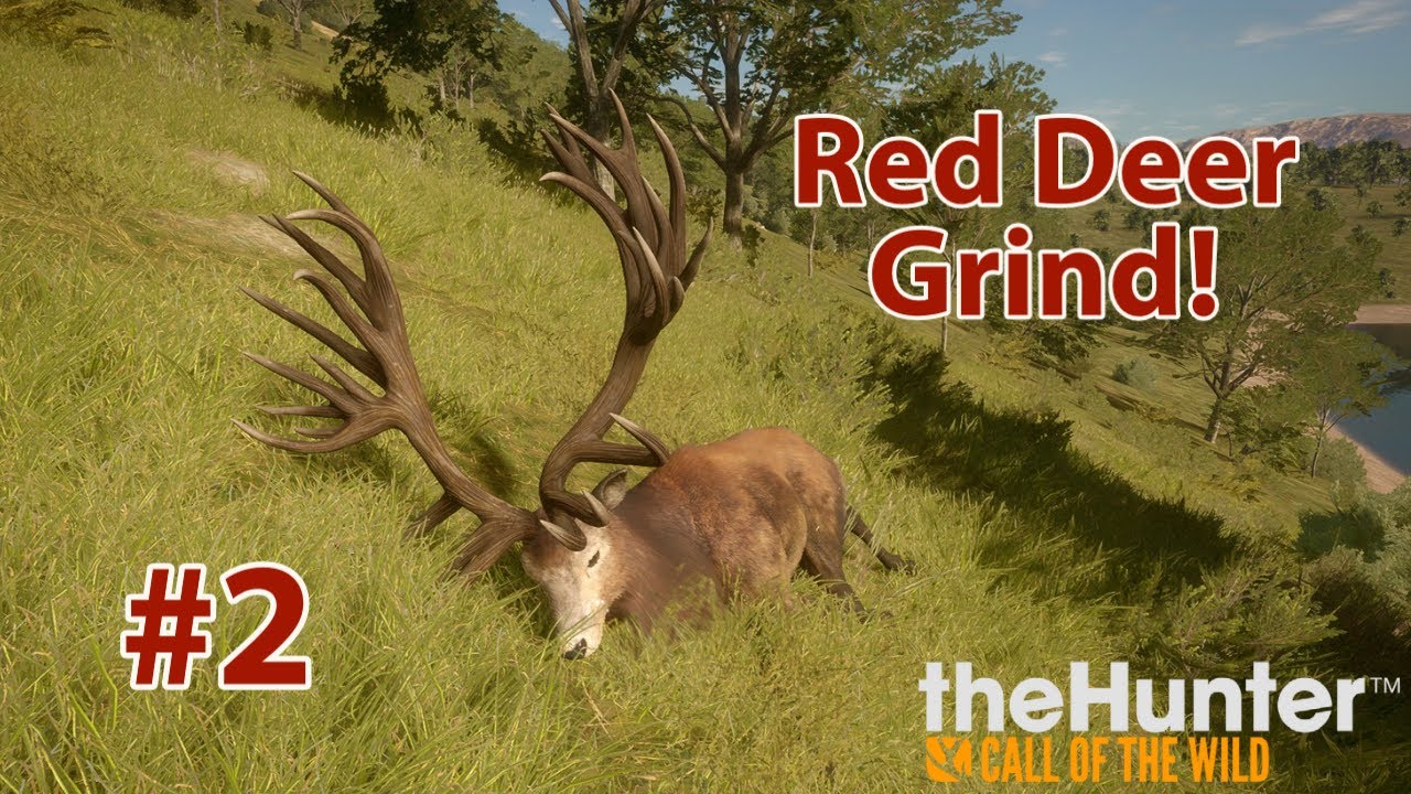 Searching for the Great One! Red Deer Grind. Part 2 - YouTube