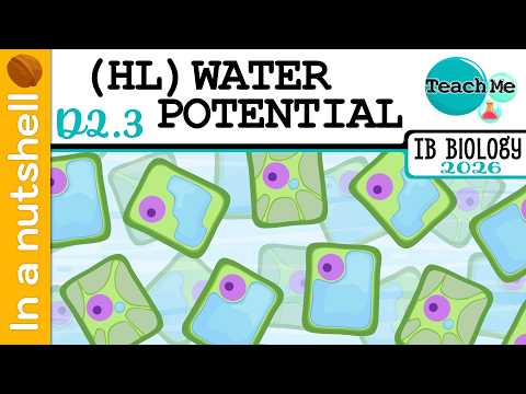 (D2.3) - Water Potential [In A Nutshell] - IB Biology (HL)