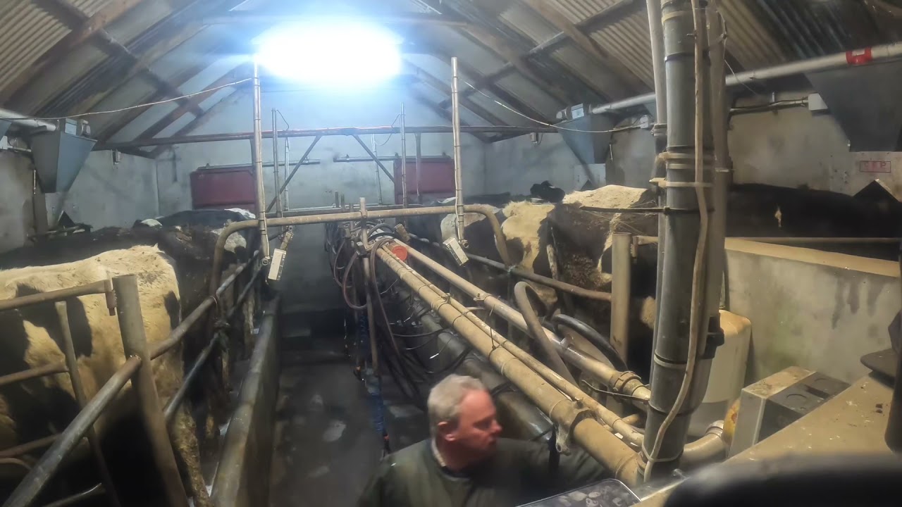 Day in the life of a Cavan Farmer. - YouTube