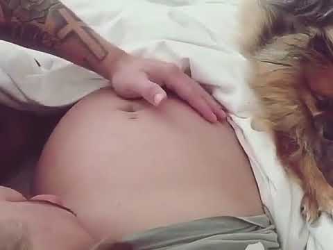 Stuffed couple belly rub feedee