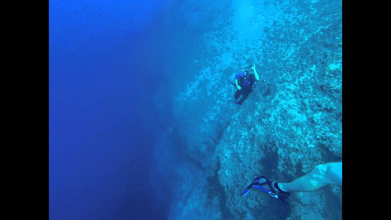 Black Tip shark at Blue Hole in Guam - YouTube