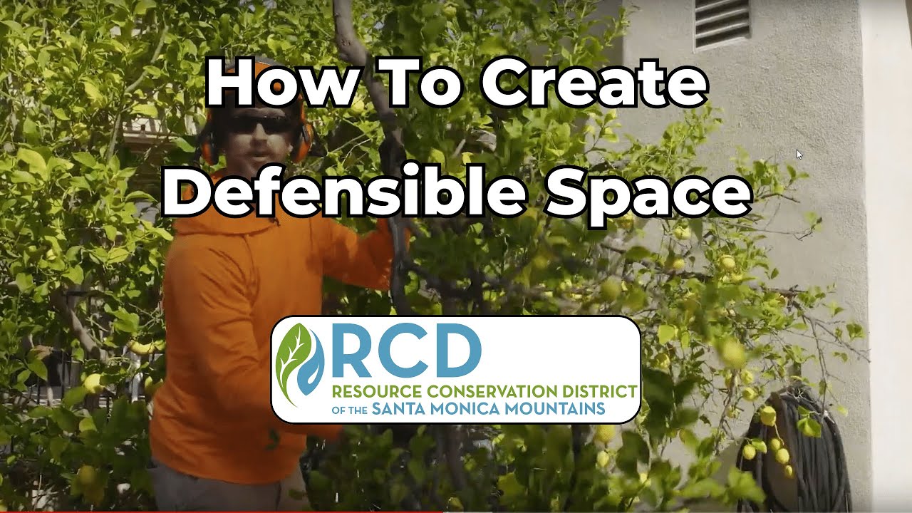 How to Create Proper Defensible Space - YouTube