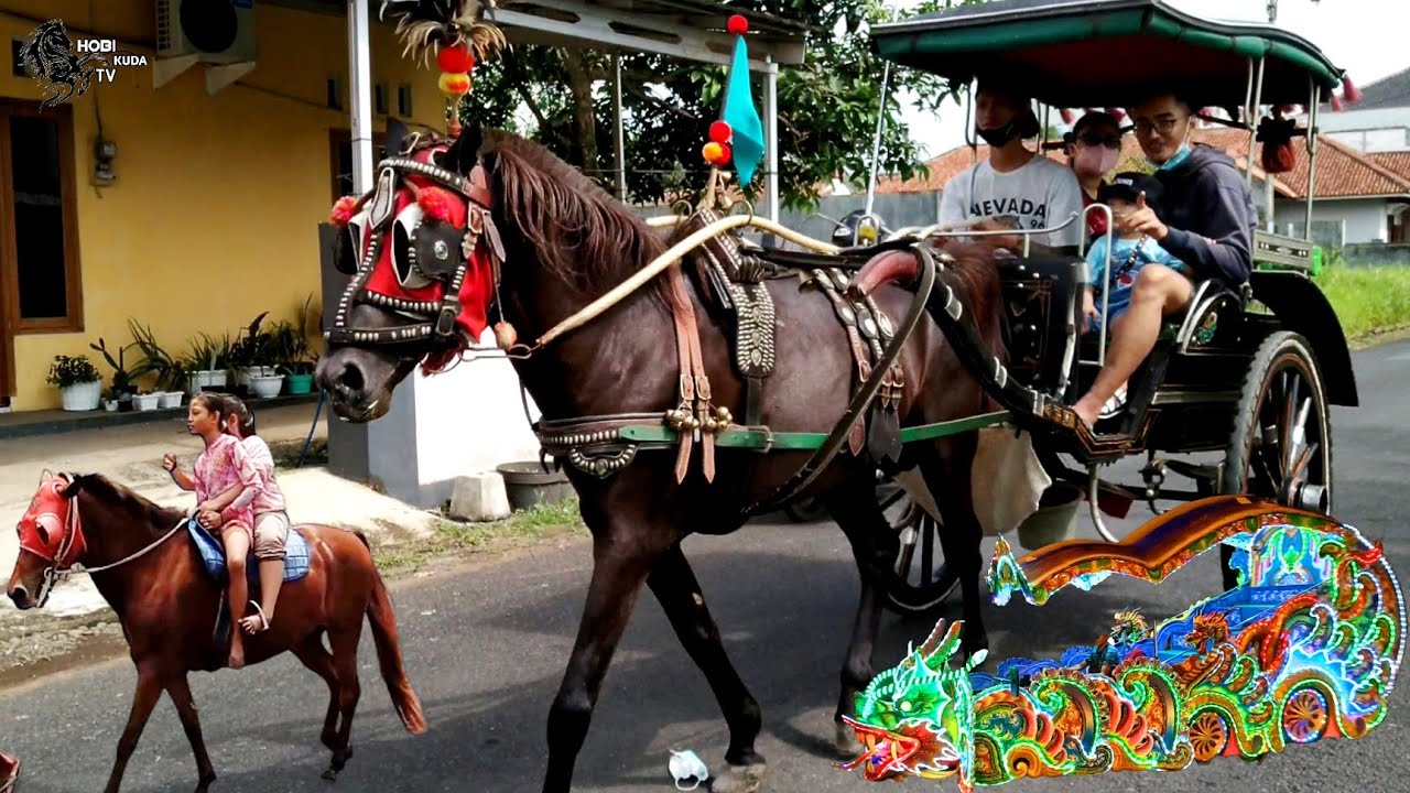Kuda Lari | Naik Laut | Kuda Dokar | Lagu Naik Delman | Kuda Dokar ...