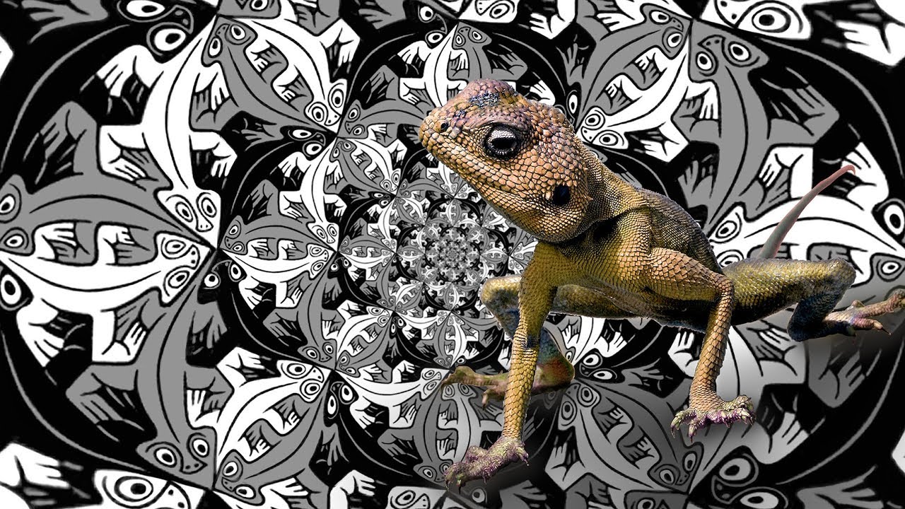 M.C. Escher “Smaller And Smaller” (Lizard) video interpretation - YouTube