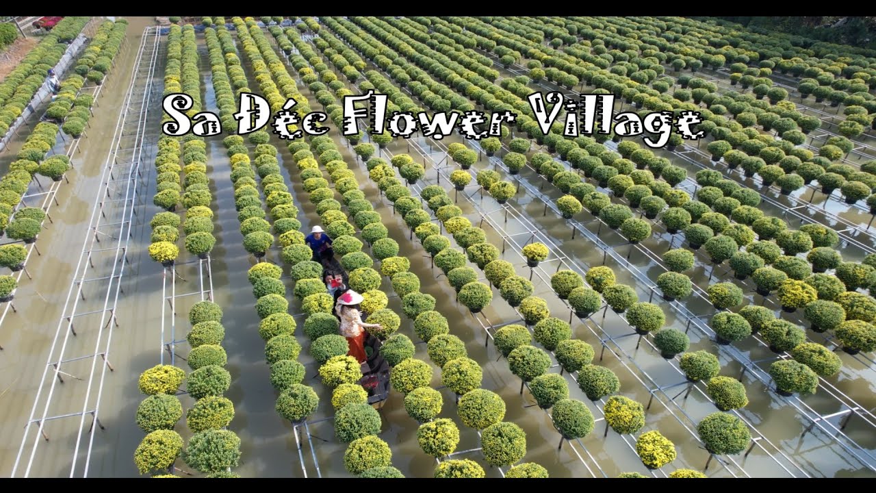 Sa Dec Flower Village: Blossoming Heart of the Mekong Delta - YouTube