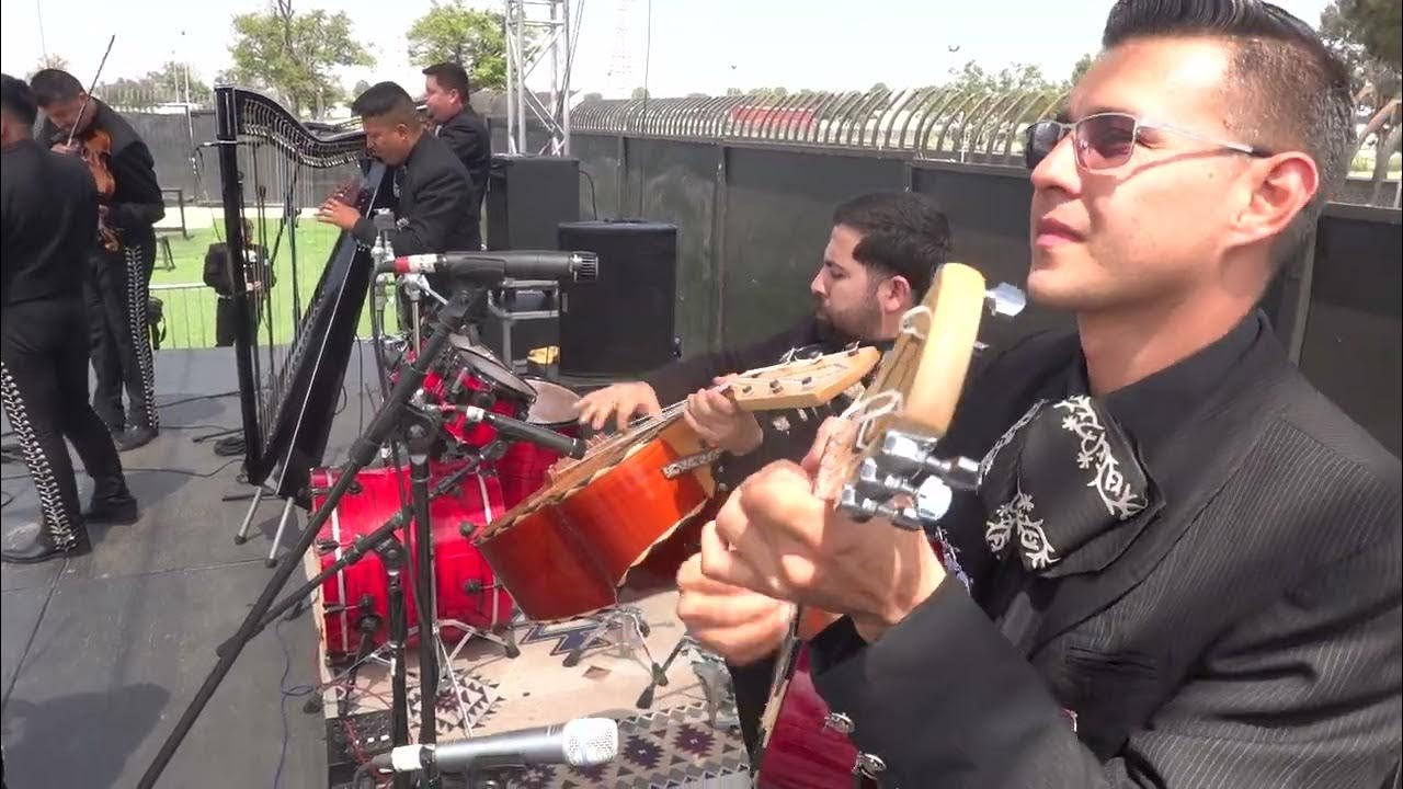 " Disfruta del Son del Alegre con el poderoso Mariachi Real Juvenil de ...