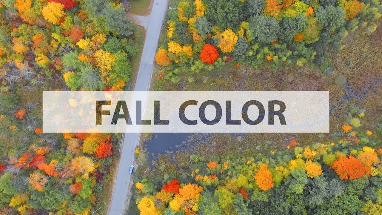 Fall Color in Newmarket, NH Marshland - YouTube