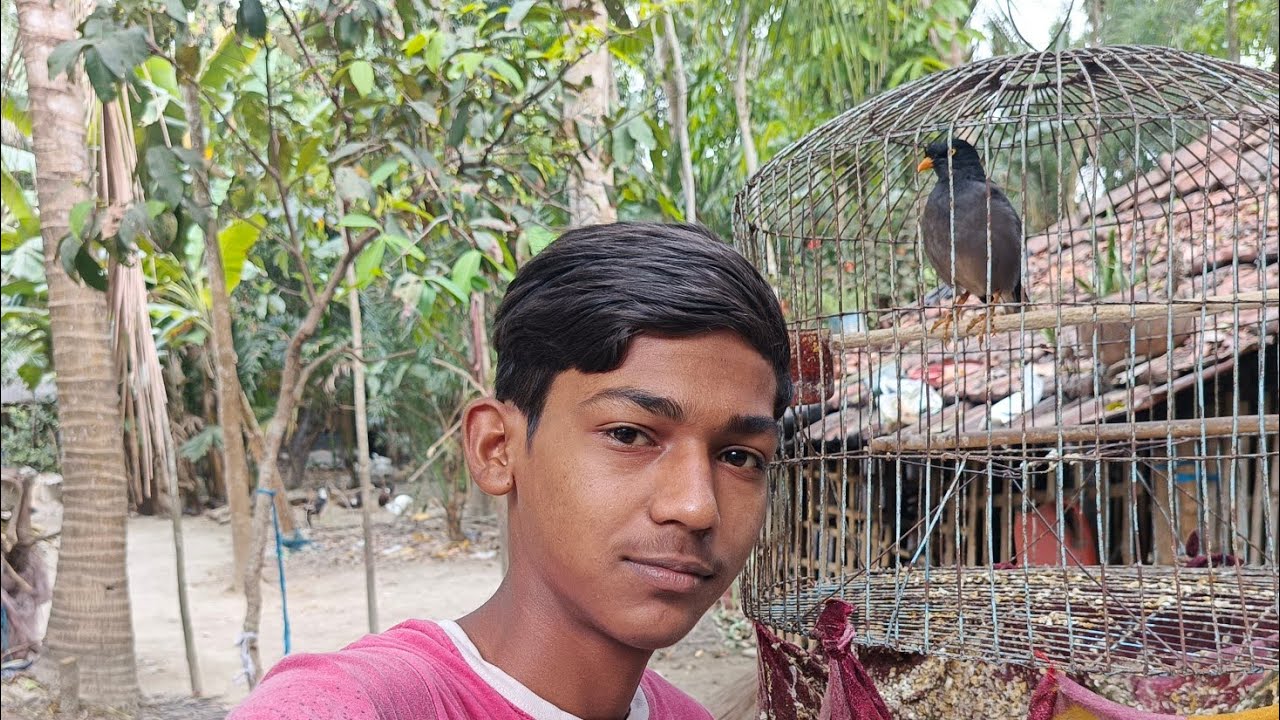 PROVN Bird is live! - YouTube