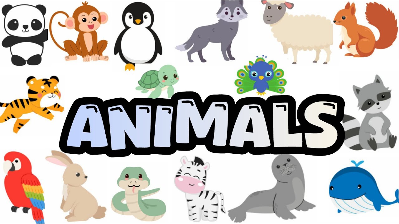 Learn animals part 3/3 with Happy brain kids learning | Animals ...