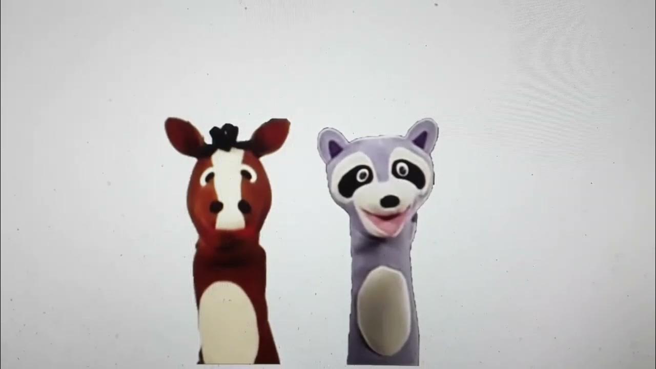 Baby Einstein - Horse and Raccoon Puppets from On the Go - YouTube