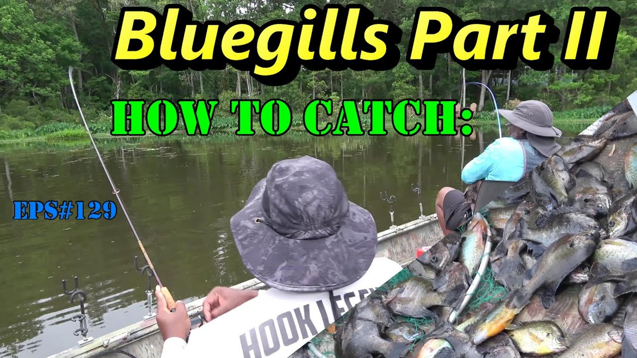 Bluegills, Crickets and loads of fun - How to load the boat Part II(Eps ...