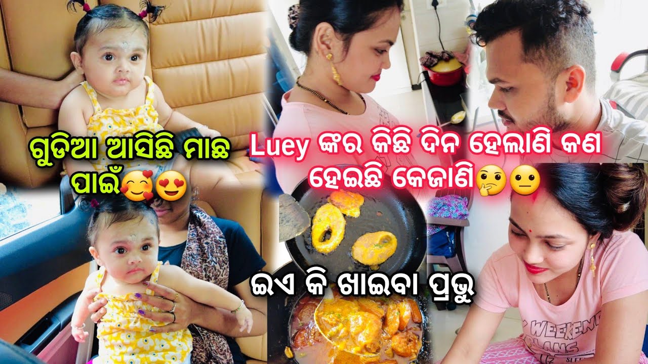 ପ୍ରଥମ ଥର ମାଛ ନେବାକୁ ଆସିଛି ଗୁଡିଆ🥰😍 କିଛି ଦିନ ହବ Luey ଙ୍କ ର କଣ ହେଇଛି ...