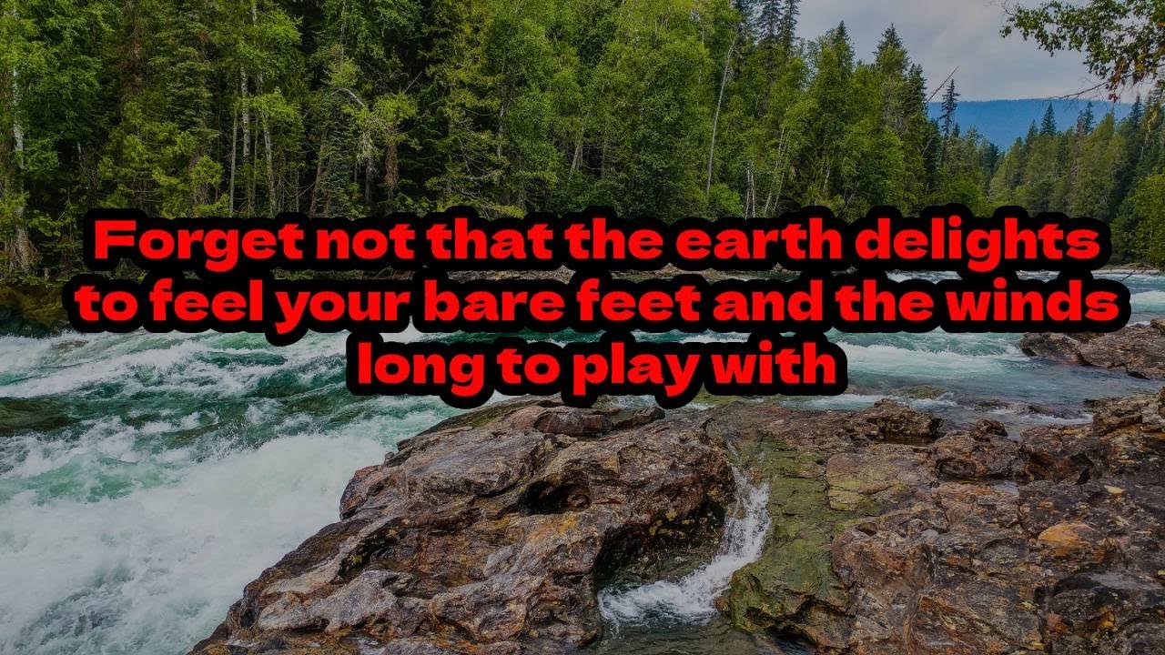 If you truly love nature, you will find beauty everywhere I go to ...